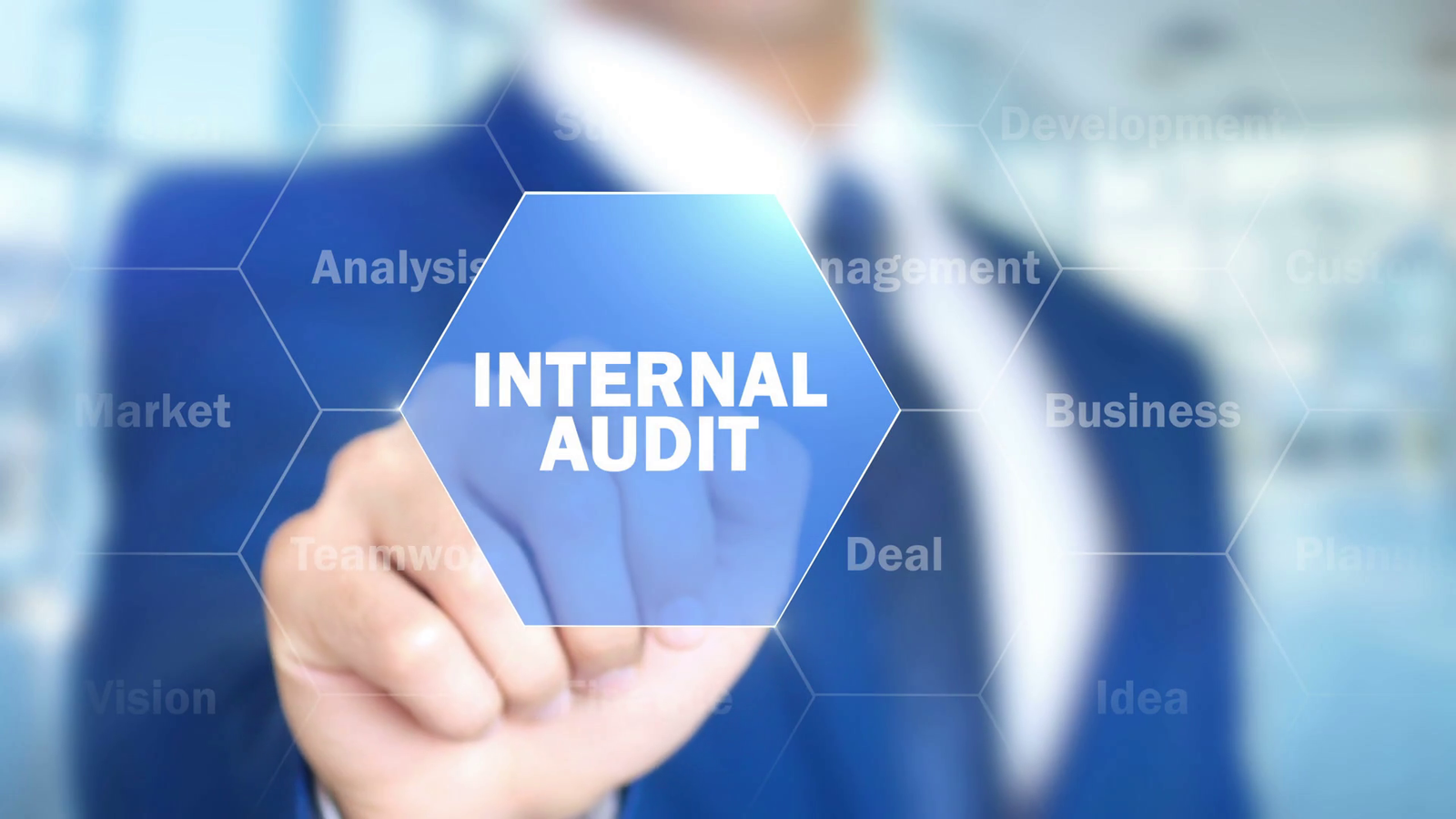 Internal Audit – Accobis Website